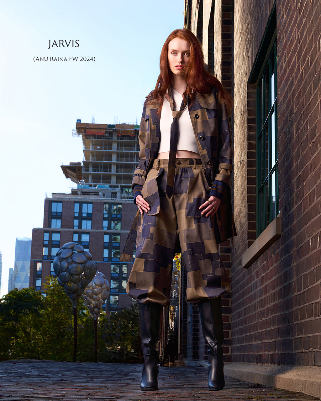 Collections – Anu Raina